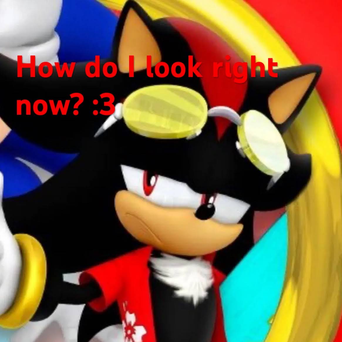 Post from N and Shadow