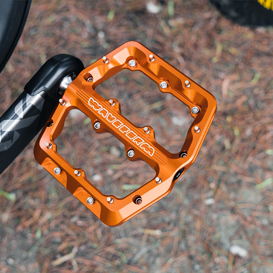 Post from Worldwide Cyclery