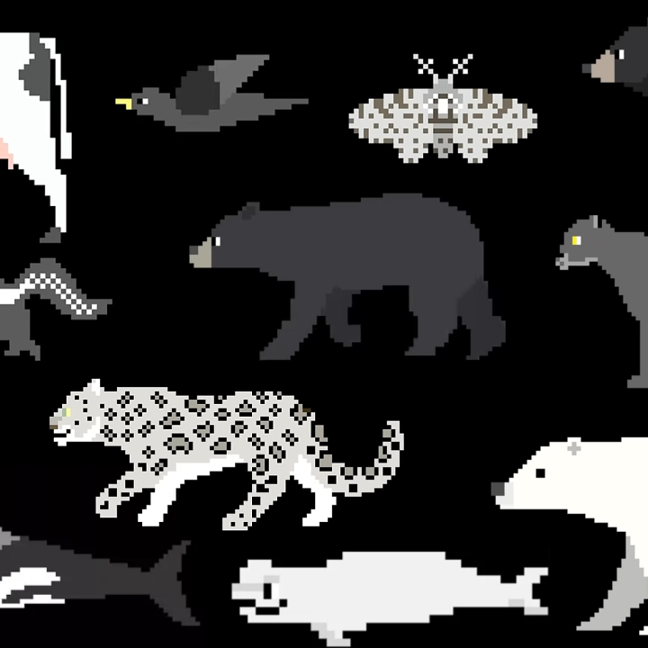 Post from Riwaj's World