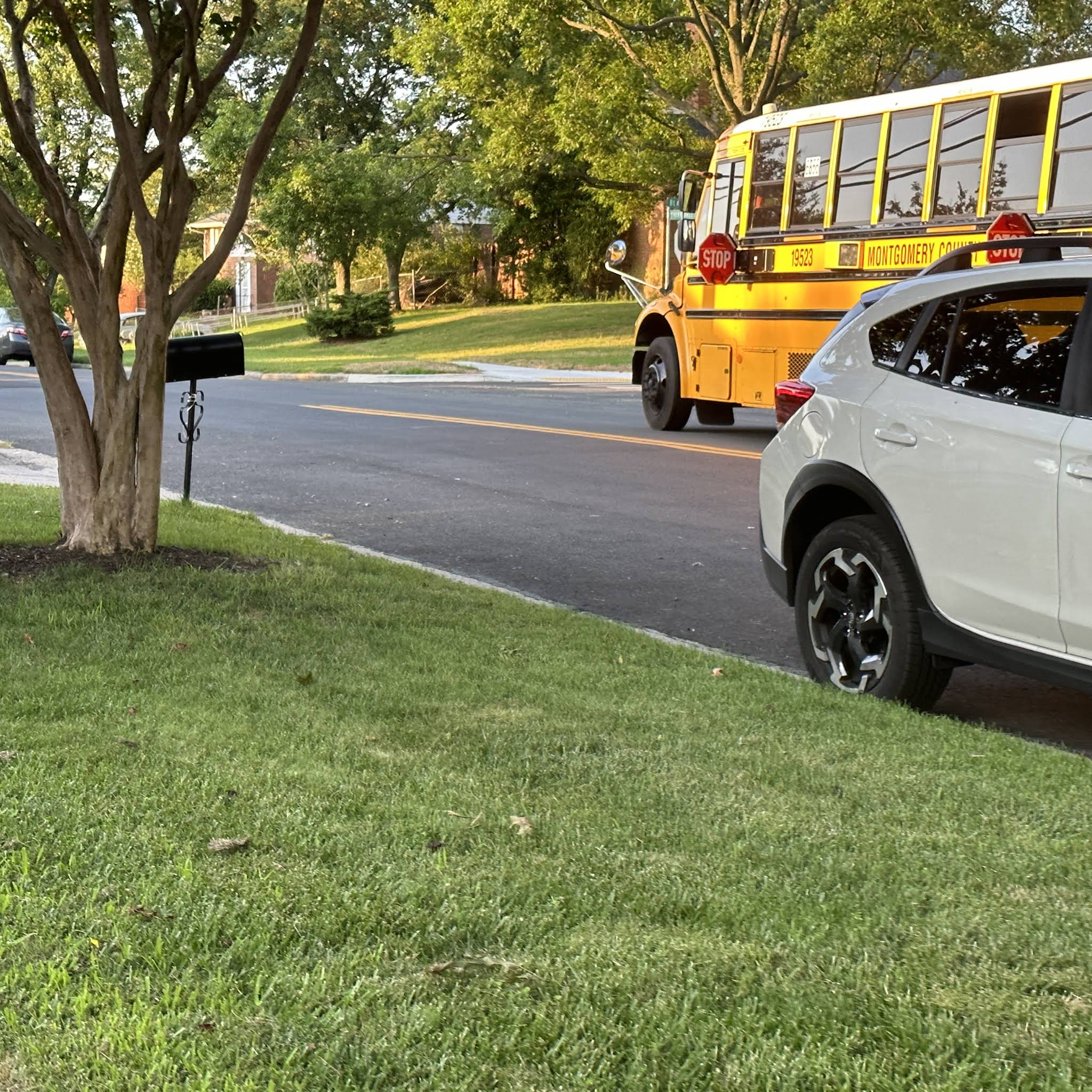 Post from Raydel Compres