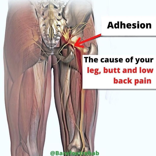 Post from Dr. Chris Stepien