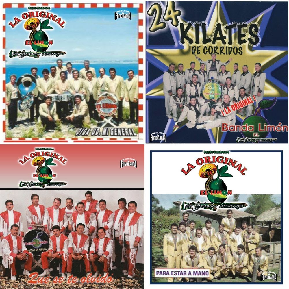 Banda El Limon (canciones viejitas 90's)
