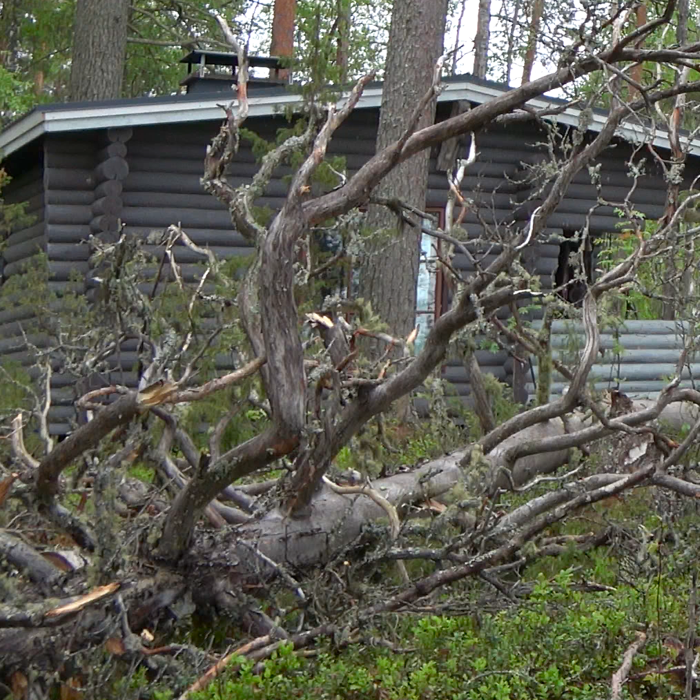 Post from Finnish Lumberjack