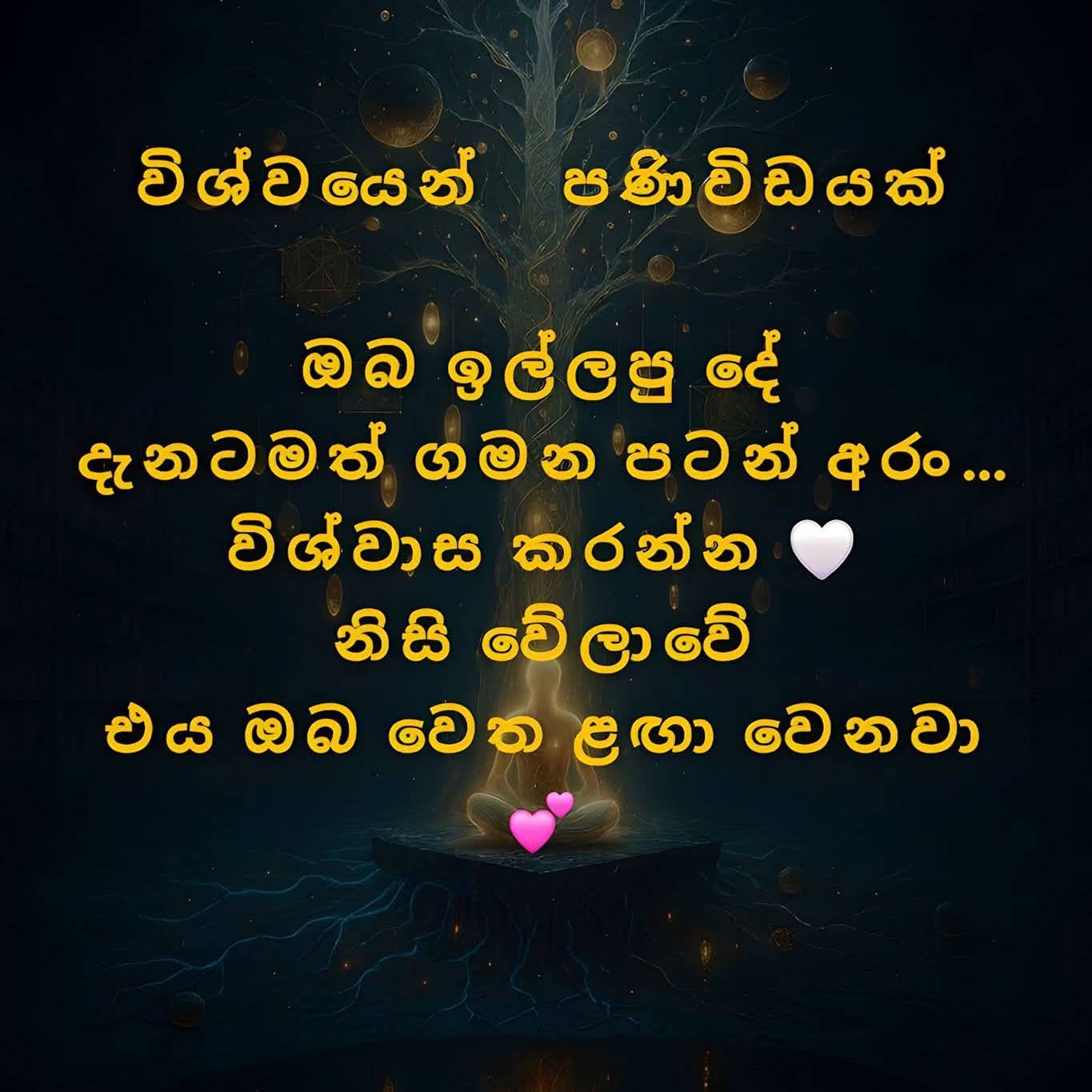 Post from Ayale 1111