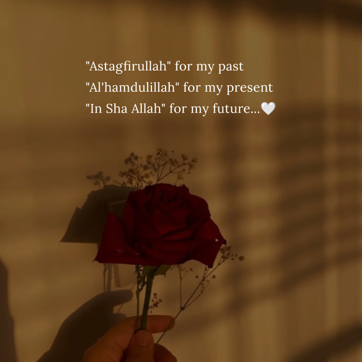 Post from Muslimah Spark