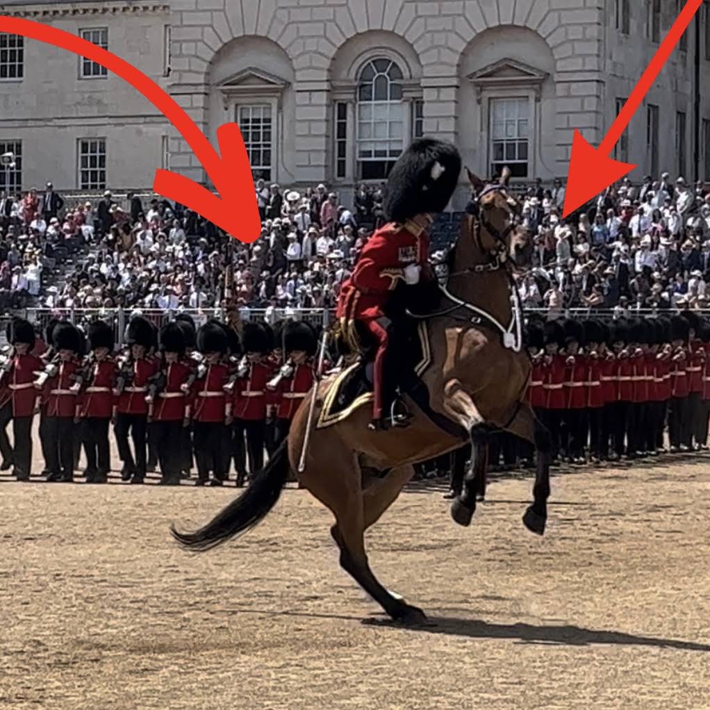 Post from The King’s Guards Channel (fan account)