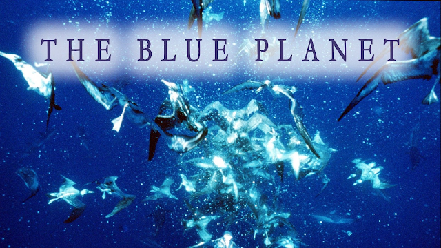 Watch The Blue Planet online | YouTube TV (Free Trial)