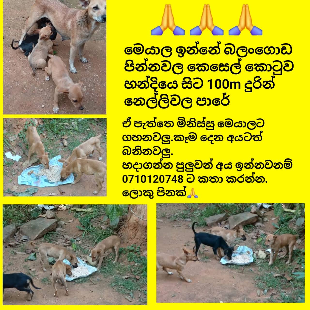 Post from DARSH & MARSH