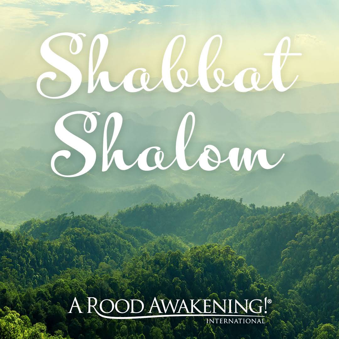 Post from A Rood Awakening!