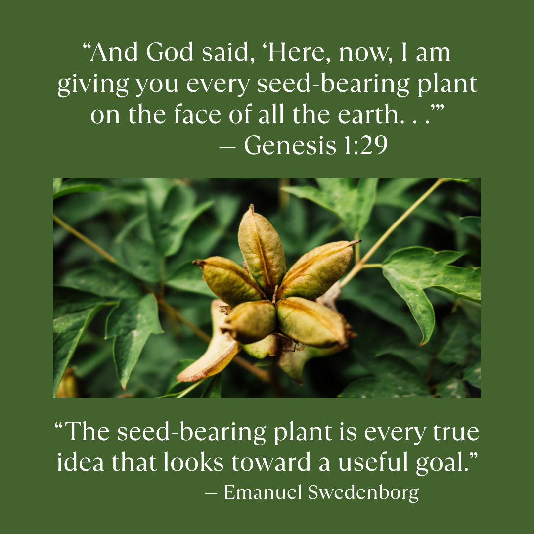 Post from Off The Left Eye