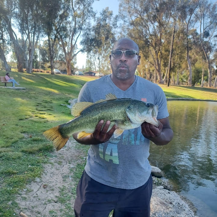 Post from Fish Eyed Fool