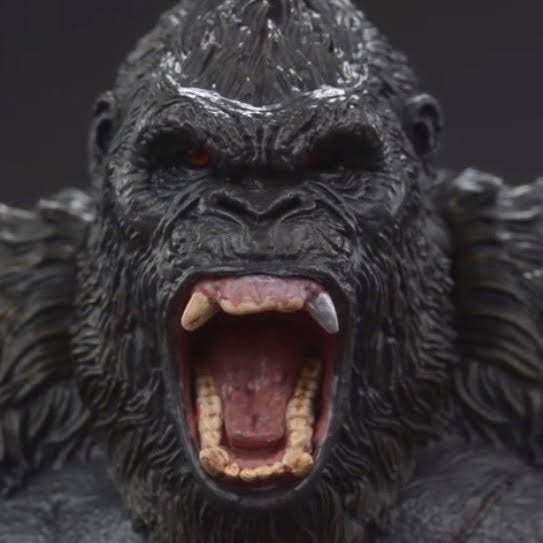 Post from 🦂NBYT👑