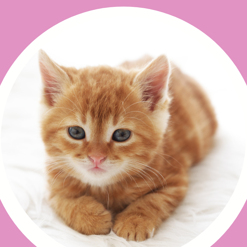 Post from Stirred Up