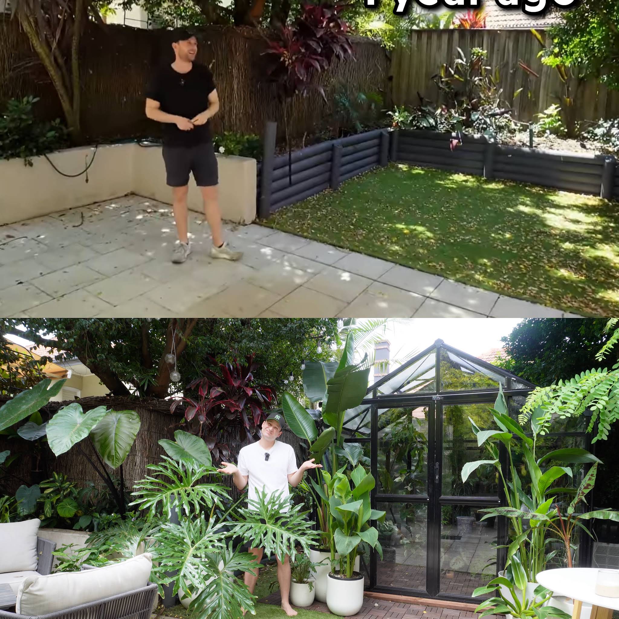 Post from Sydney Plant Guy