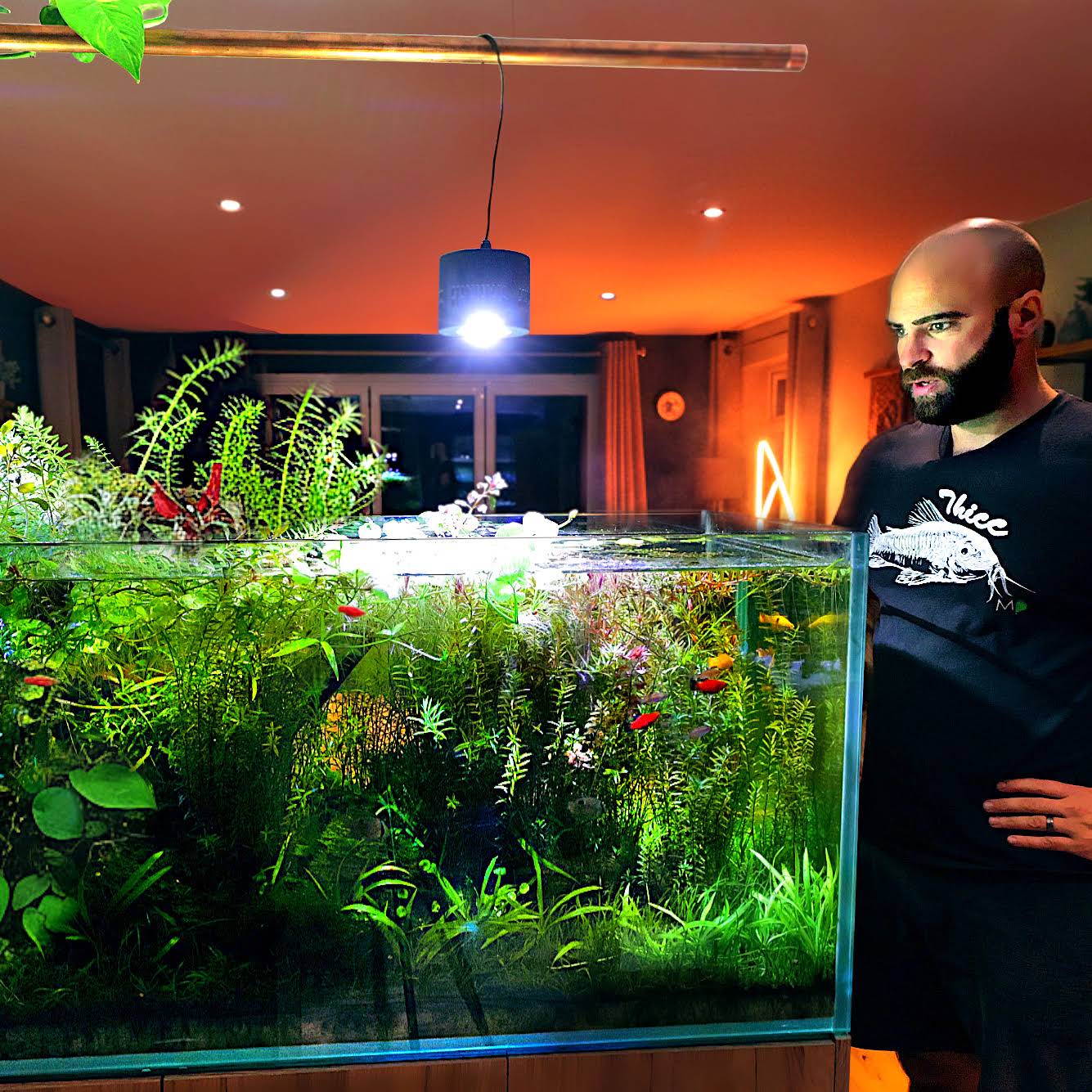 Post from MD Fish Tanks