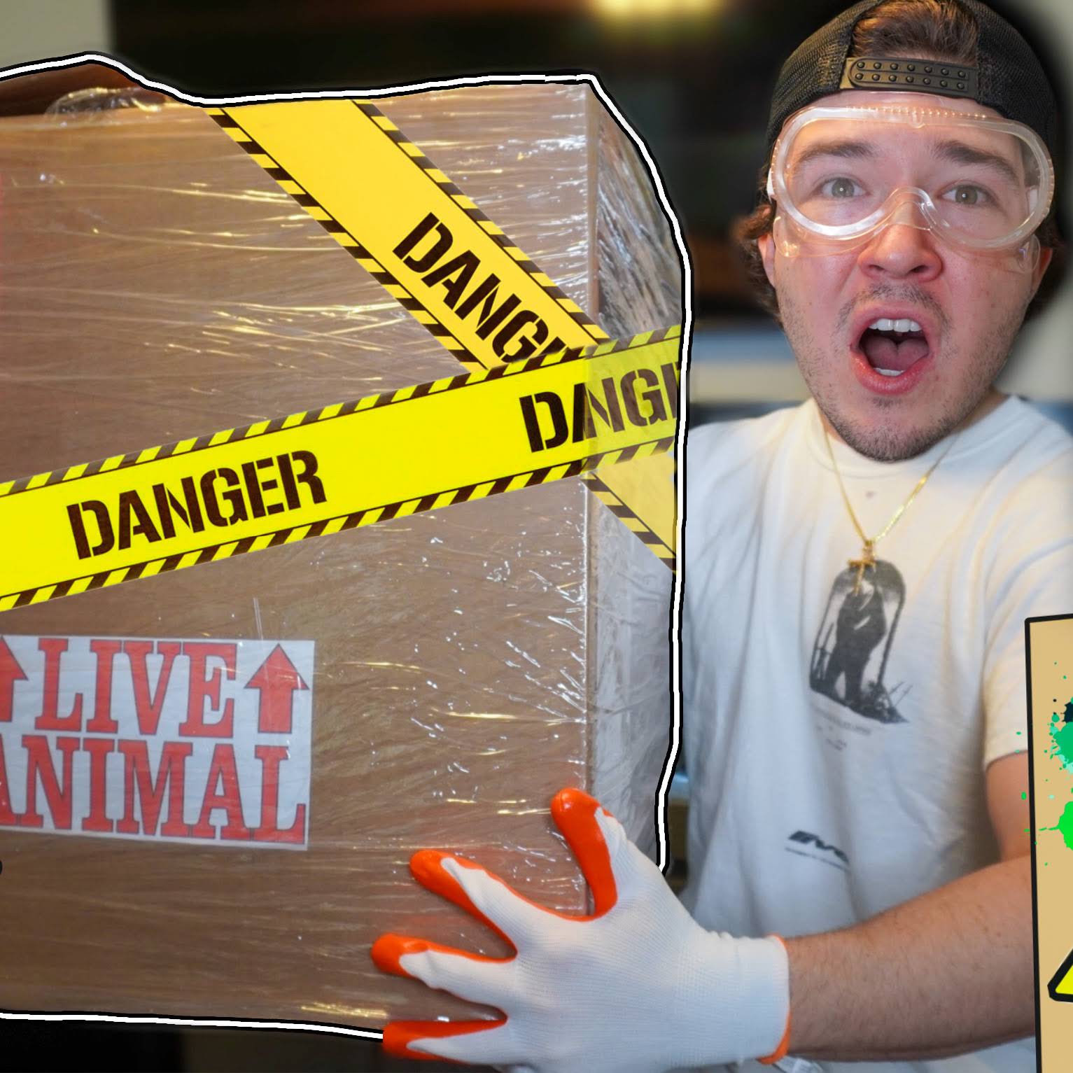 Post from The Fish Guys