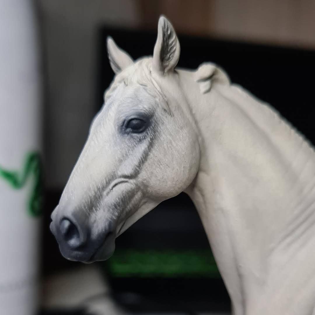 Post from Daisy Stalls