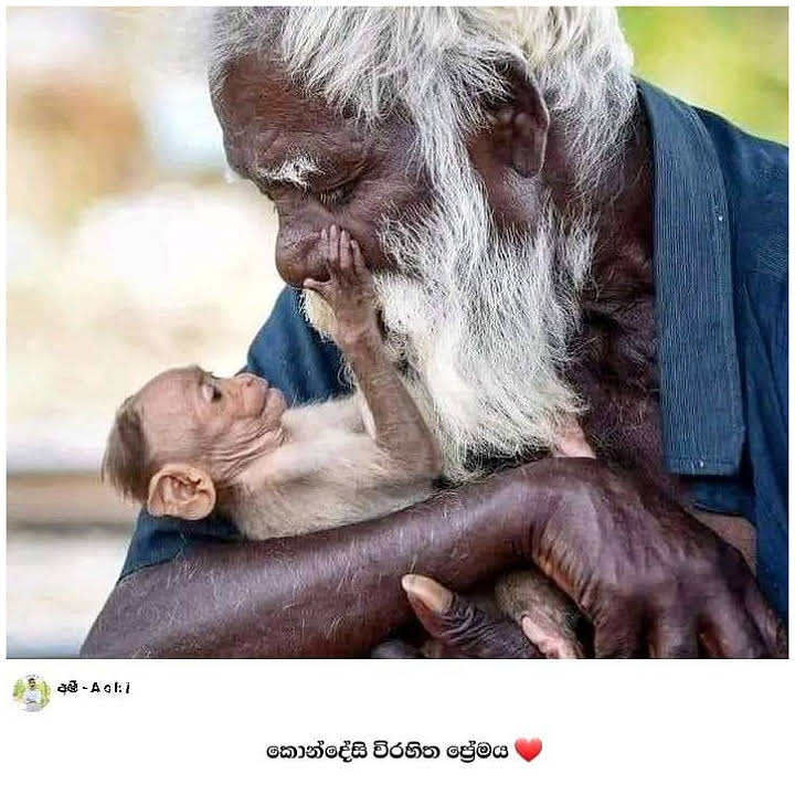 Post from Hot Gammiris