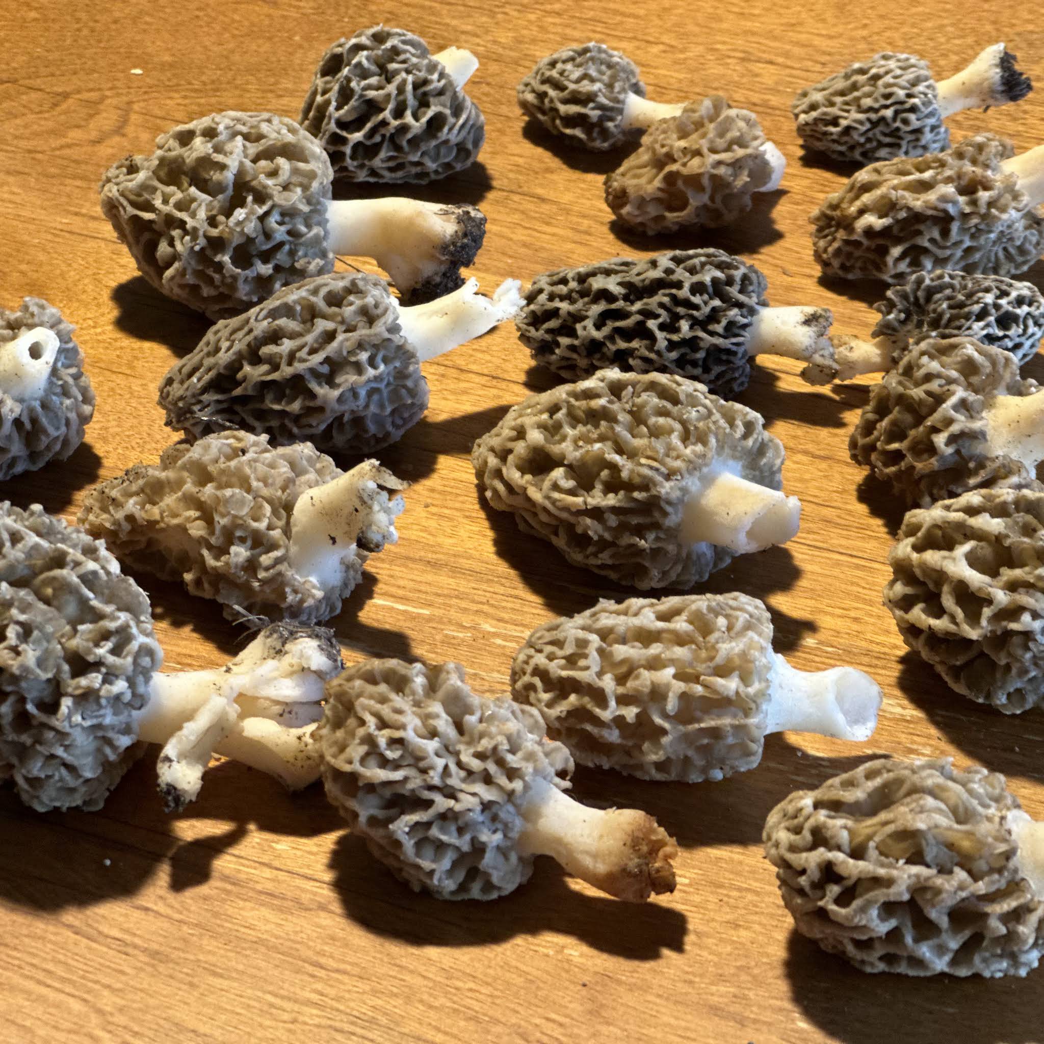 Post from Gunner Alan Lindbloom