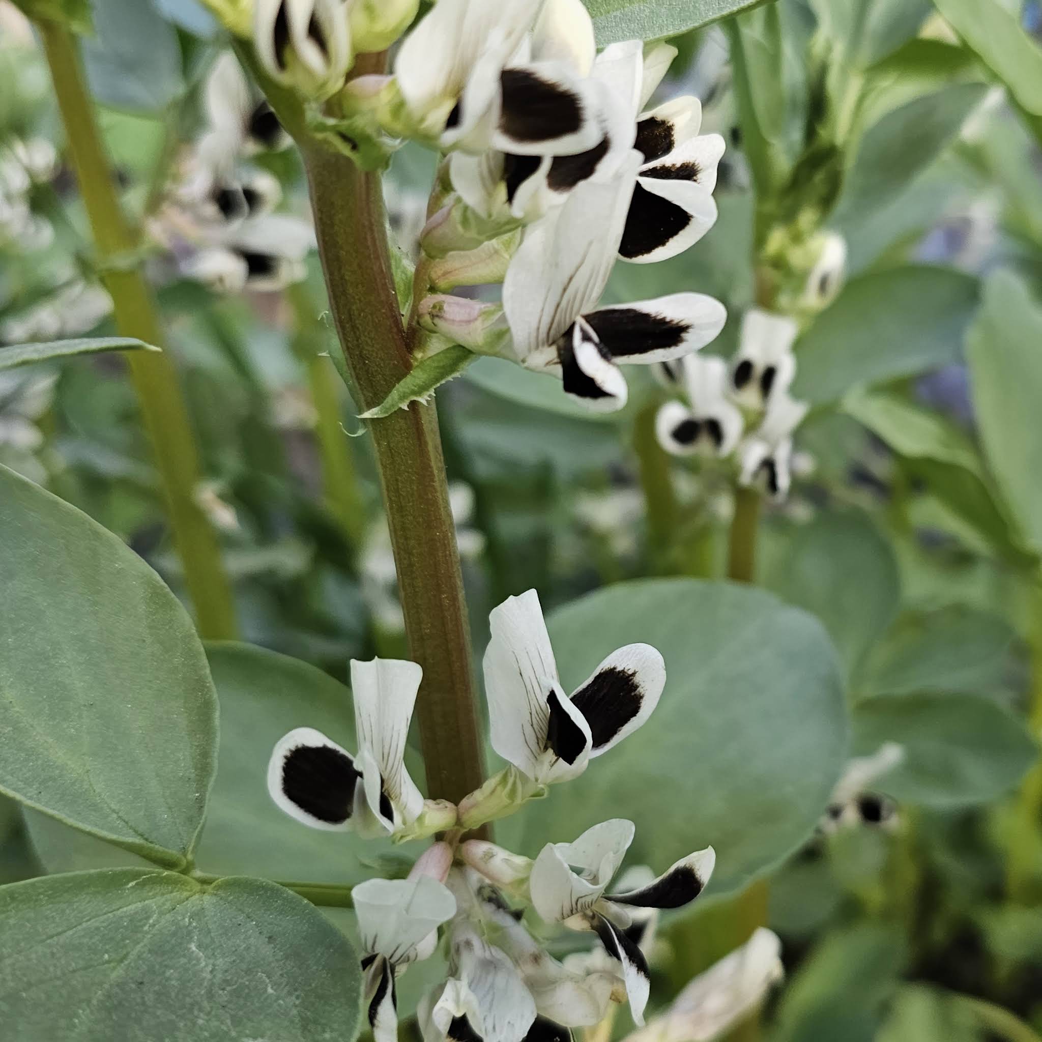 Post from infouprawa