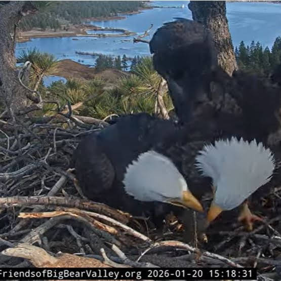 Post from FOBBV CAM