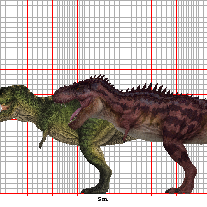 Post from Matheus Sauro