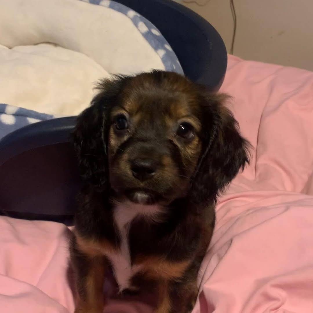 Post from Denty and Shaz