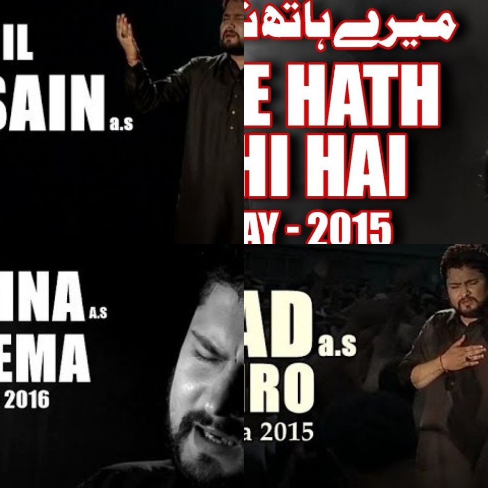 Syed Raza Abbas Zaidi 2015