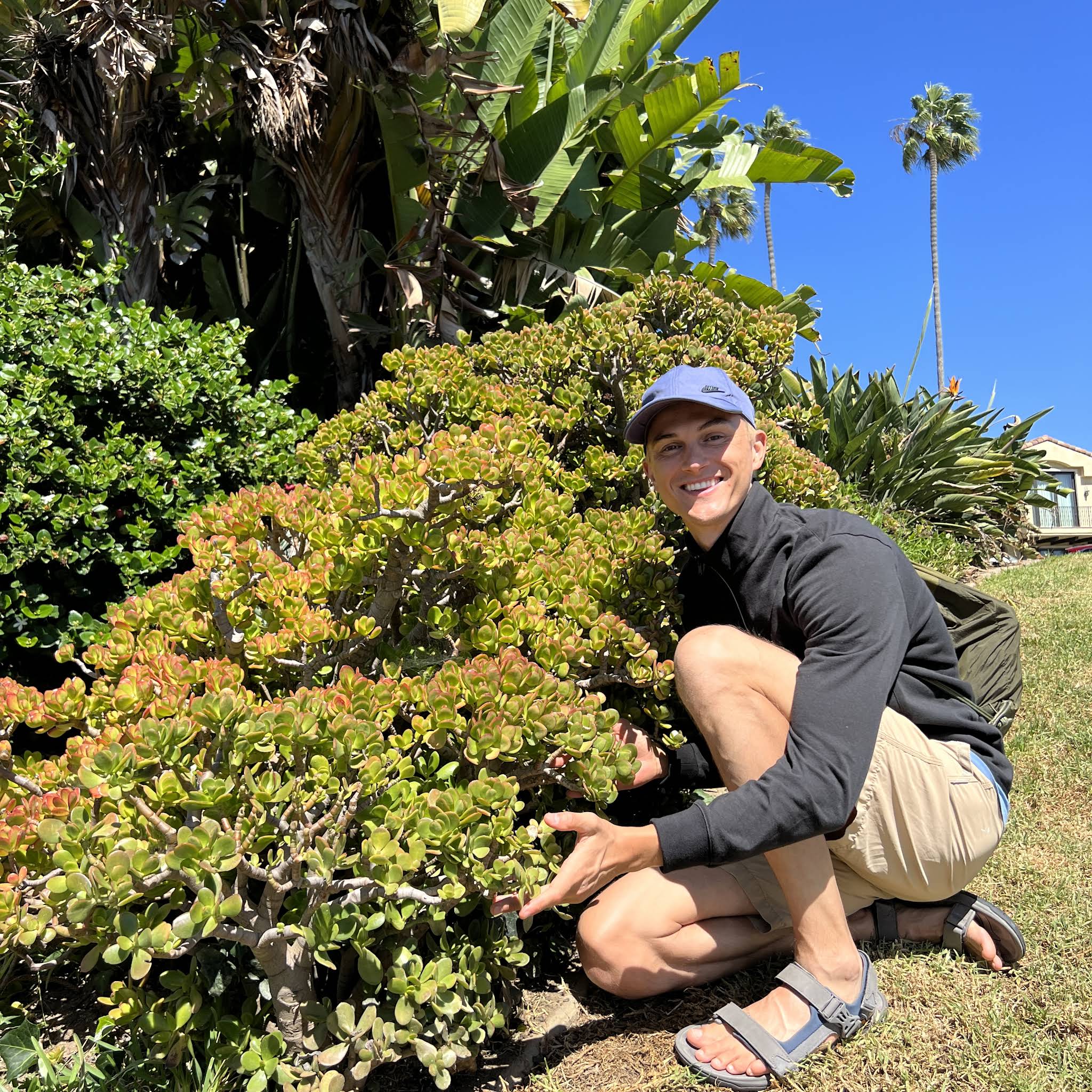 Post from Plant Vibrations with Devin Wallien