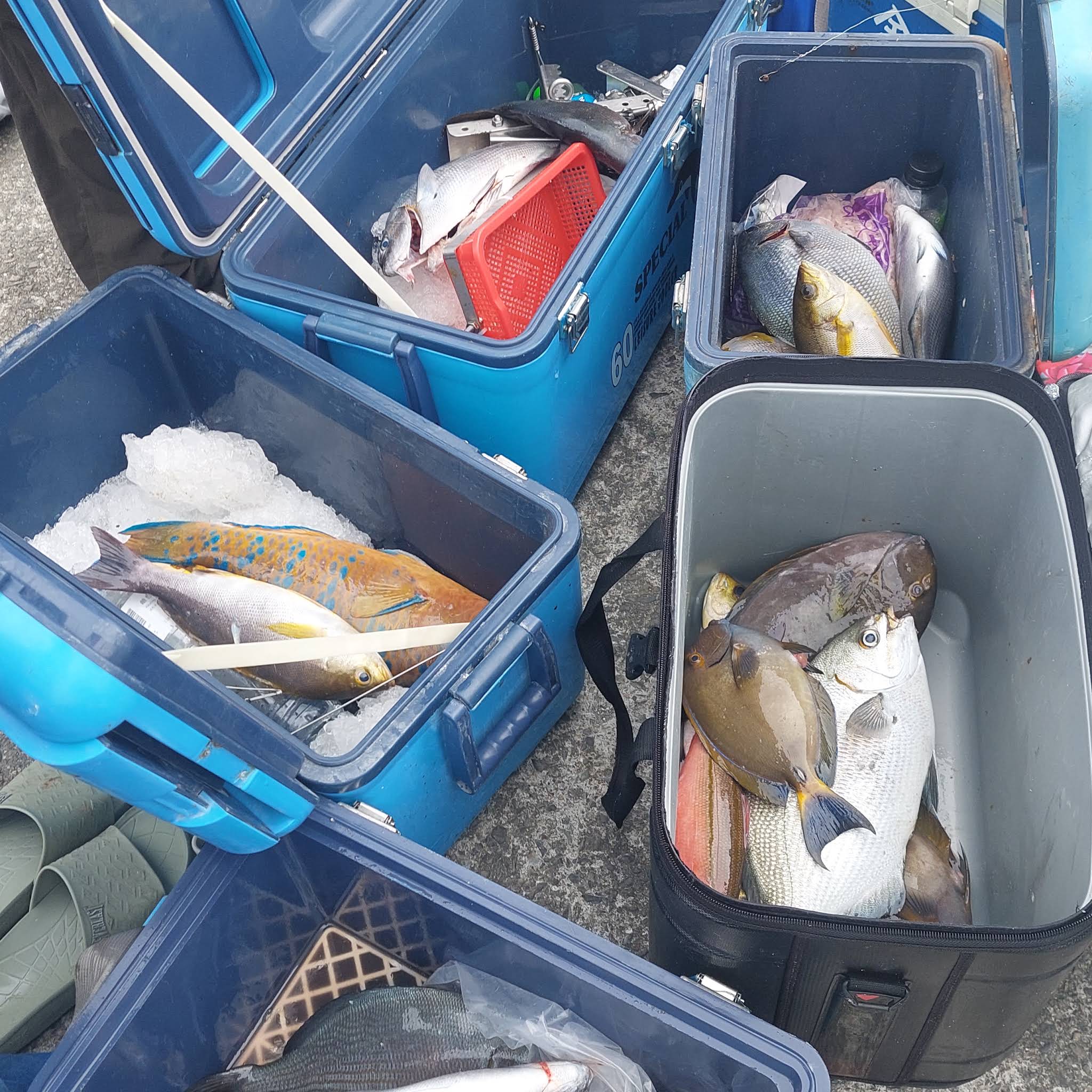 Post from Xiaoyu loves fishing channel
