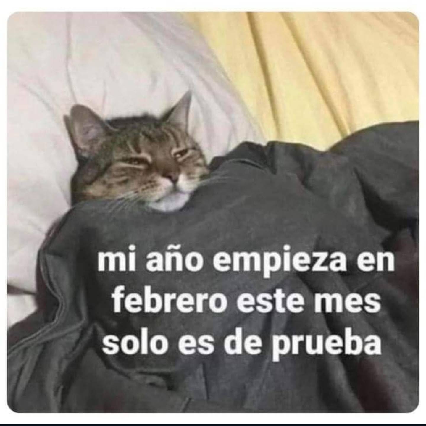 Post from SnowFlake Freak