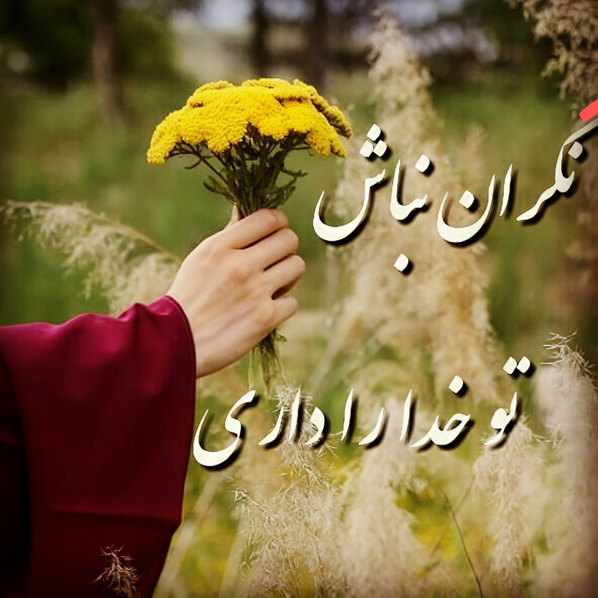 Post from 𝑨𝒎𝒊𝒓.𝒔𝒂𝒎𝒚𝒂𝒓