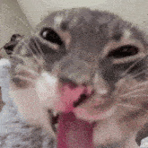 Post from Cashrainer