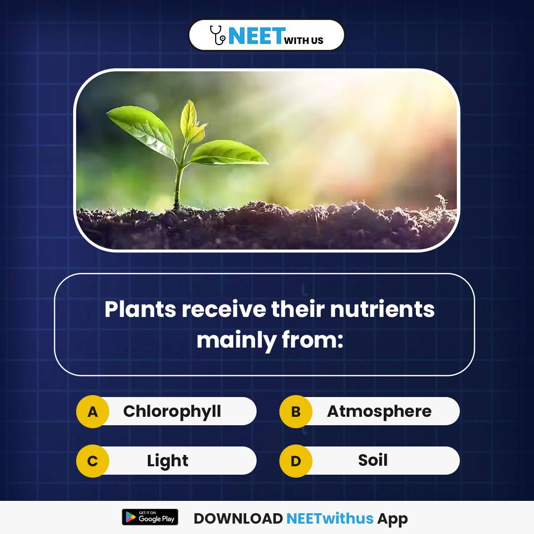 Post from Biofairy Ritu Rattewal