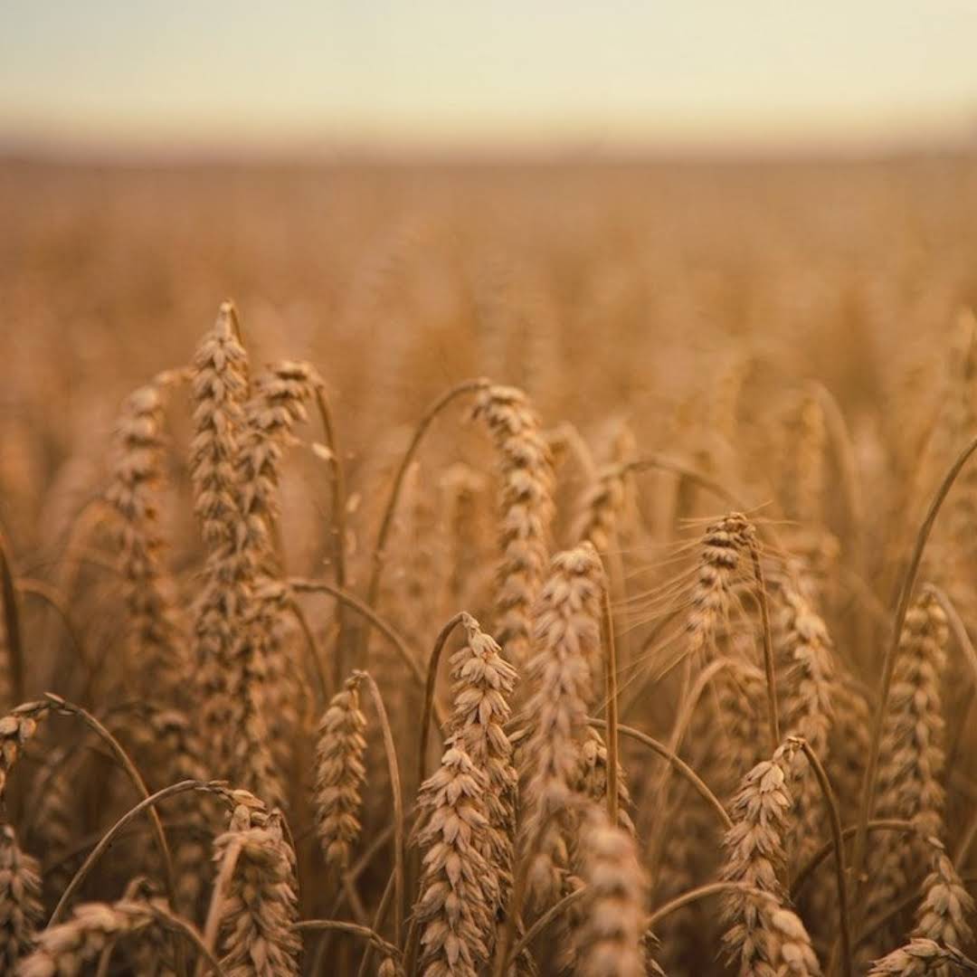 Post from Outpouring Gates