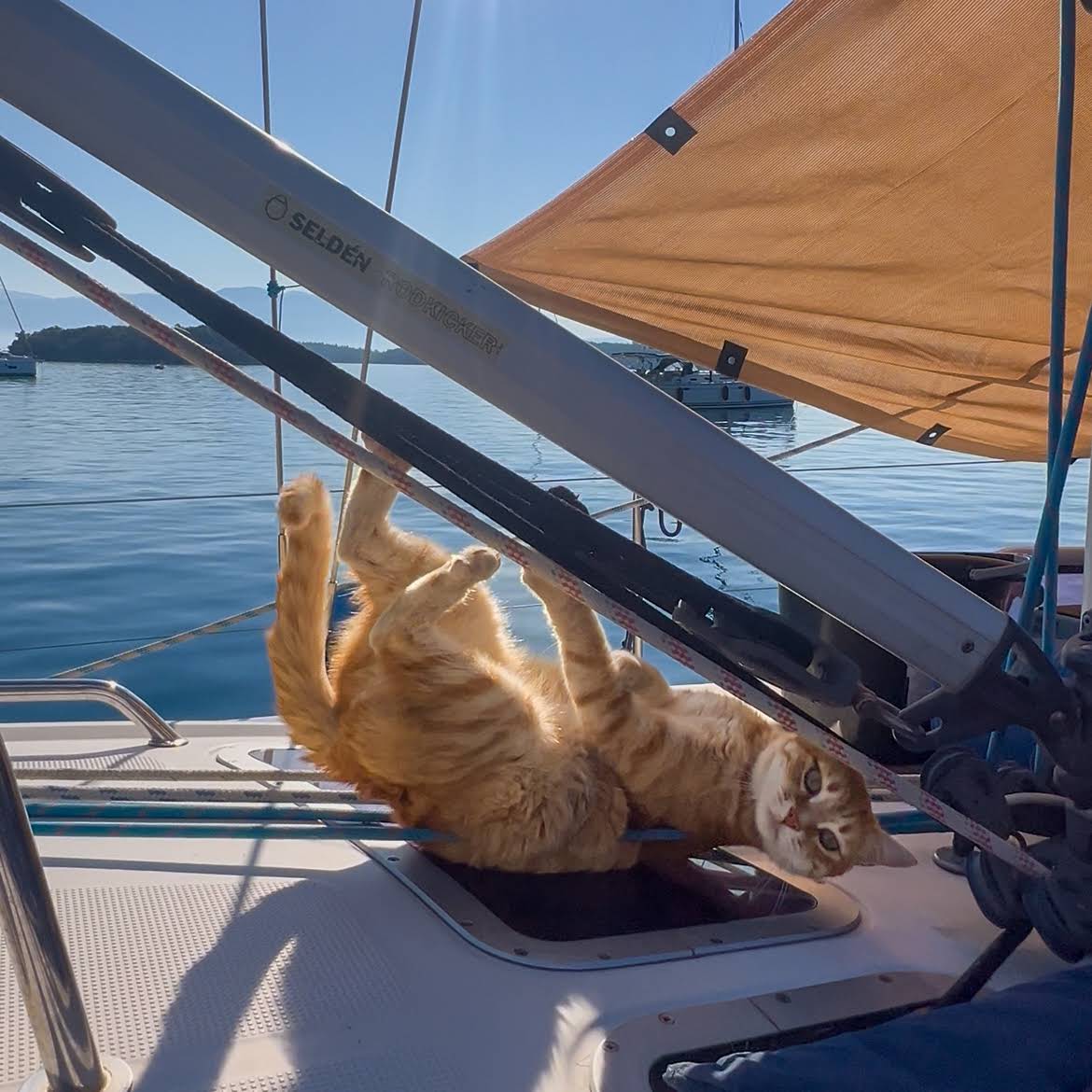Post from Ronnie The Boat Cat