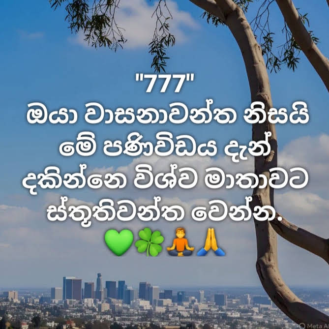 Post from Ayale 1111