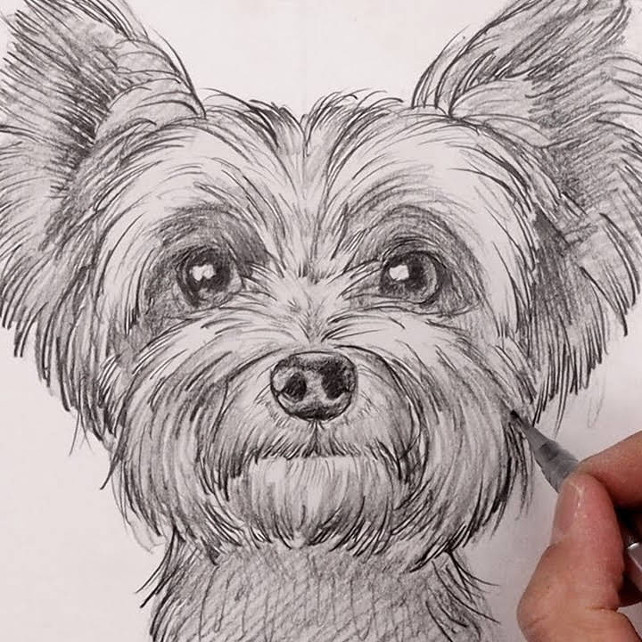 Post from Cartooning Club XL