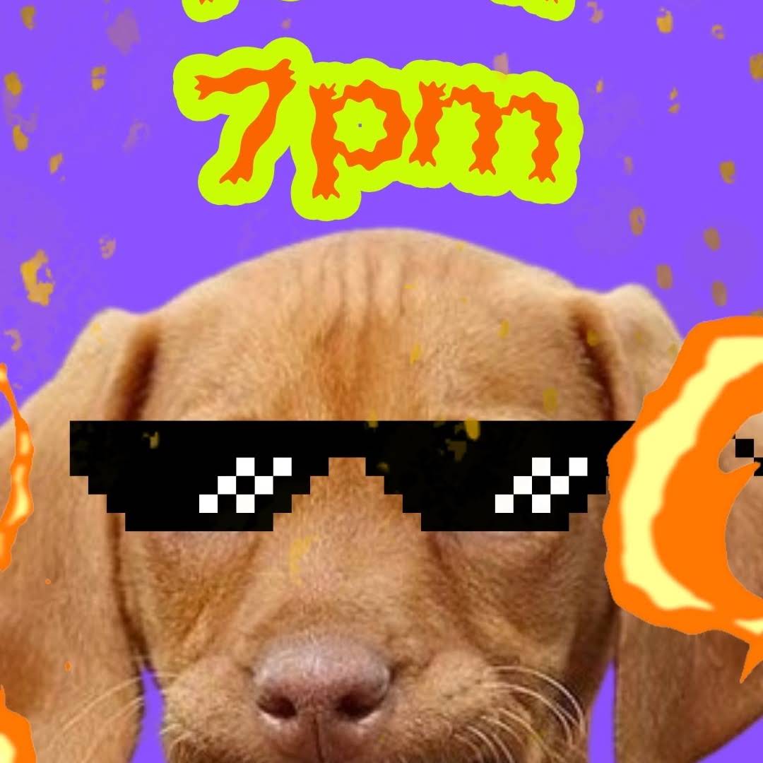 Post from dawg-animated