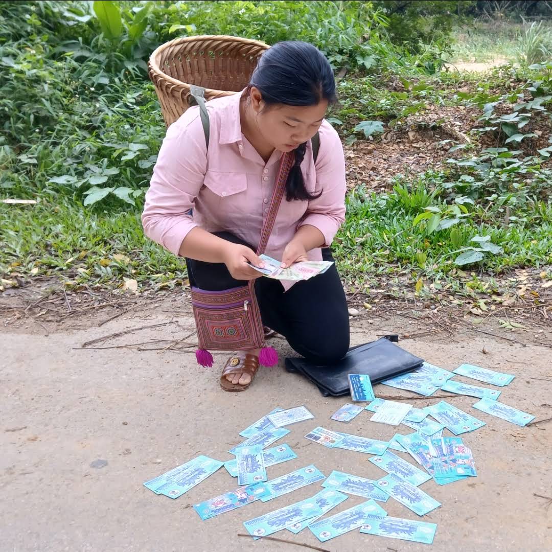 Post from Li Tieu Vi VN
