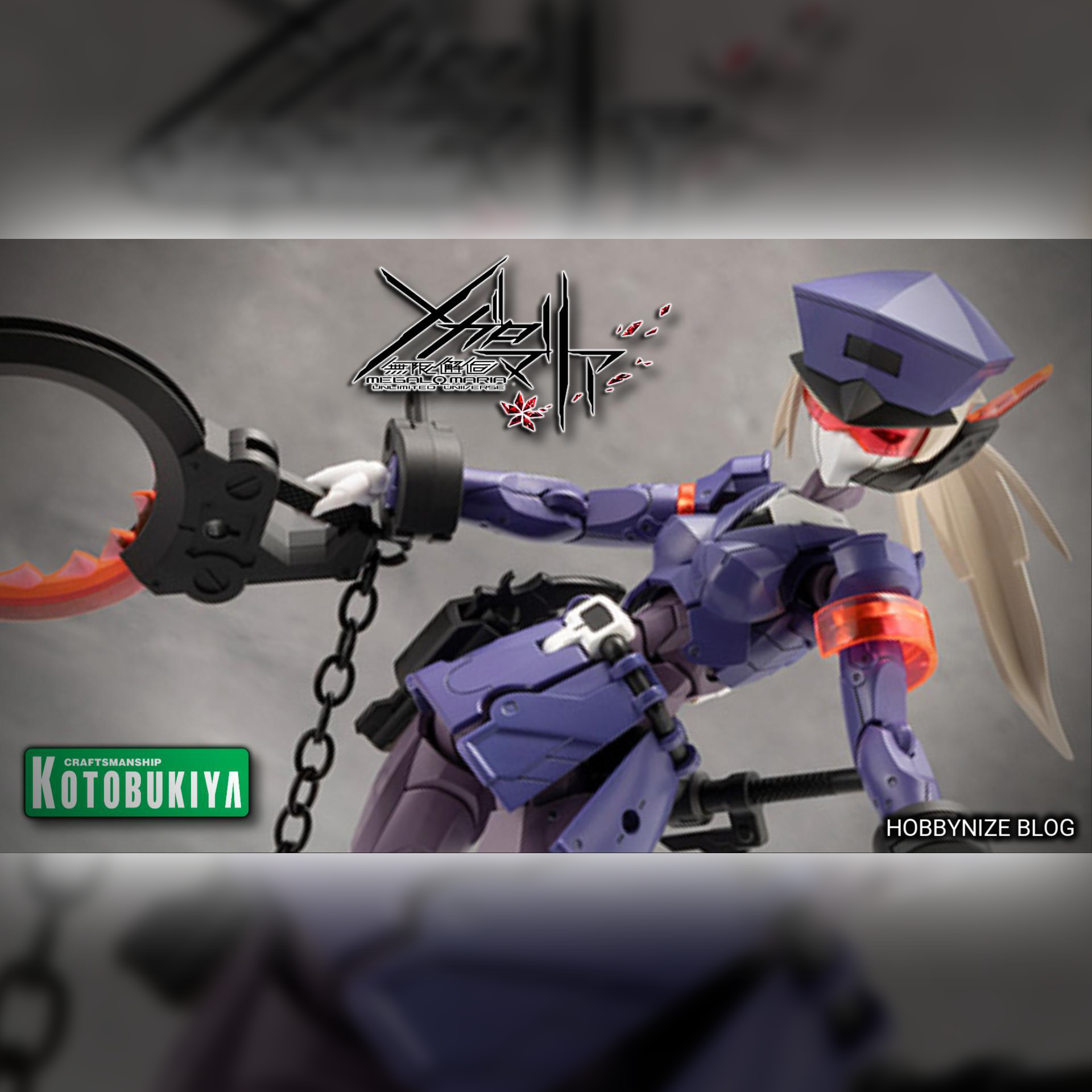 Post from Hobbynize Blog