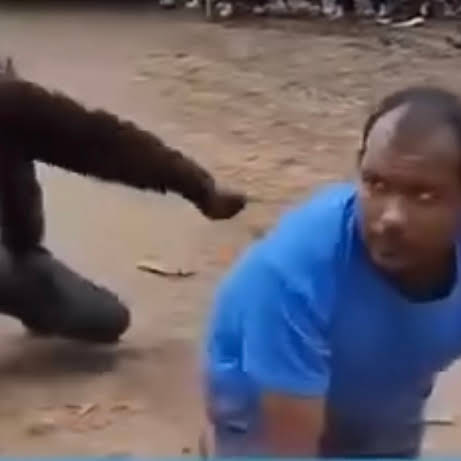 Post from Hasab Meda