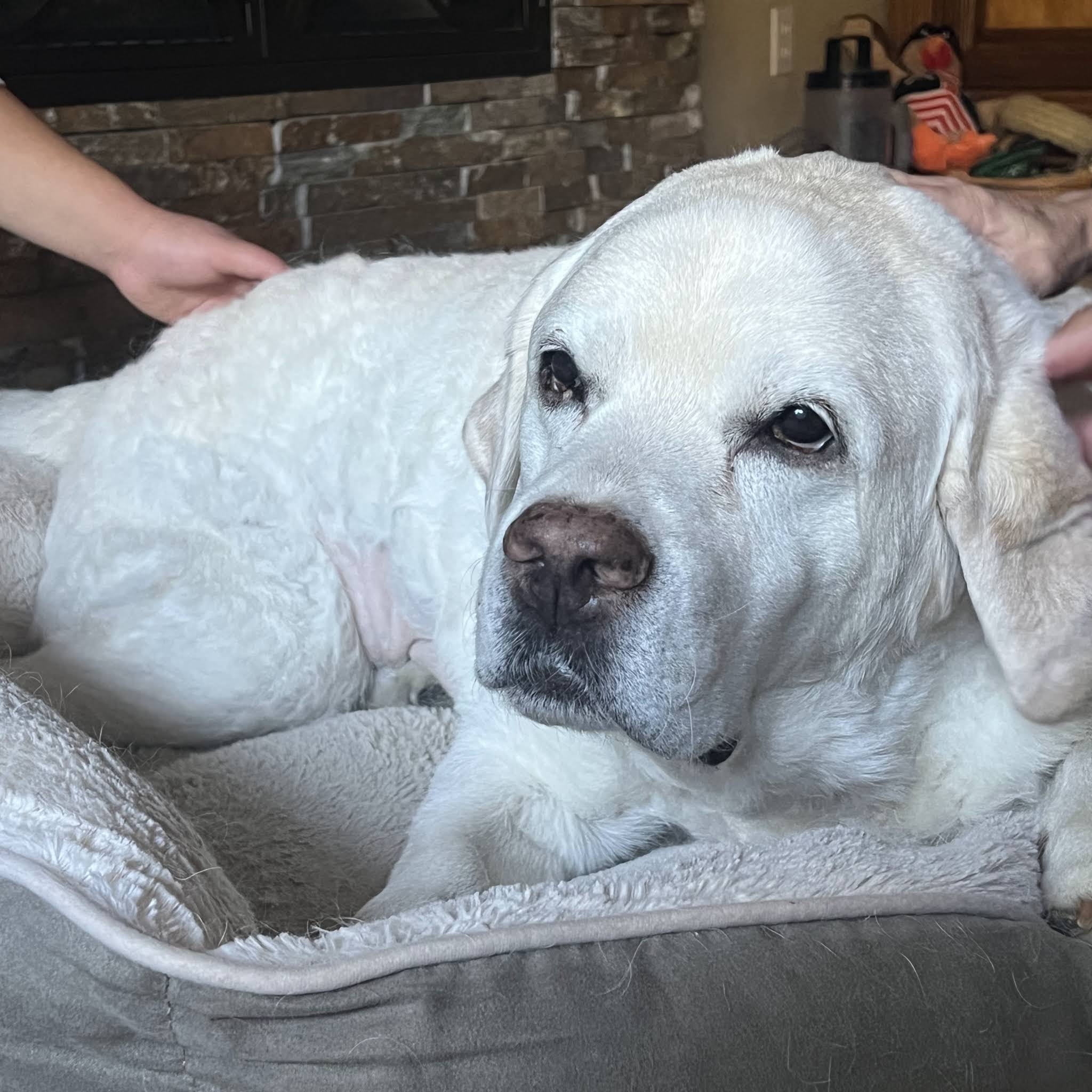 Post from A_Random_N3rd VR