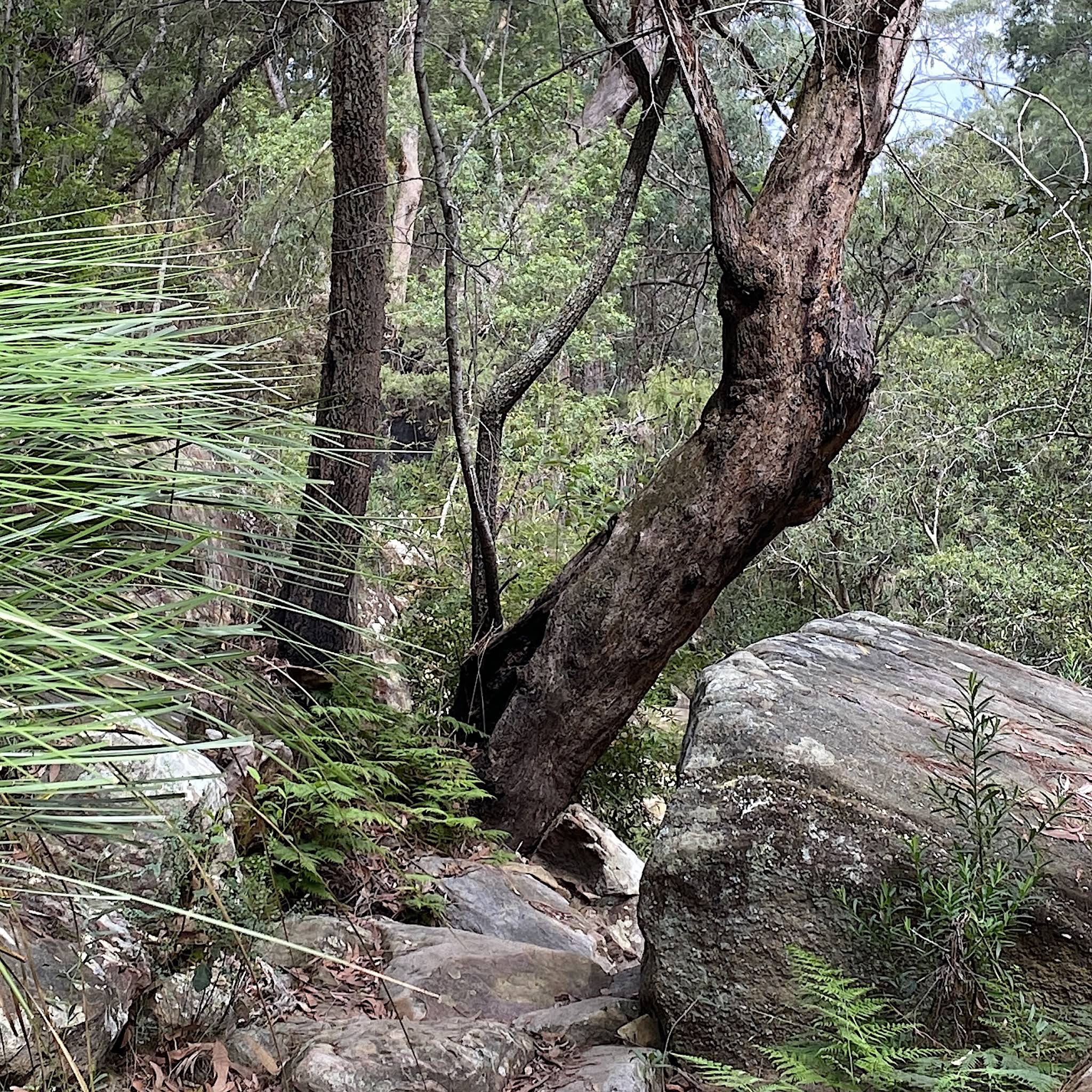 Post from Stephen Travers Art