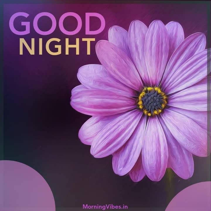 Post from Lighting their way home