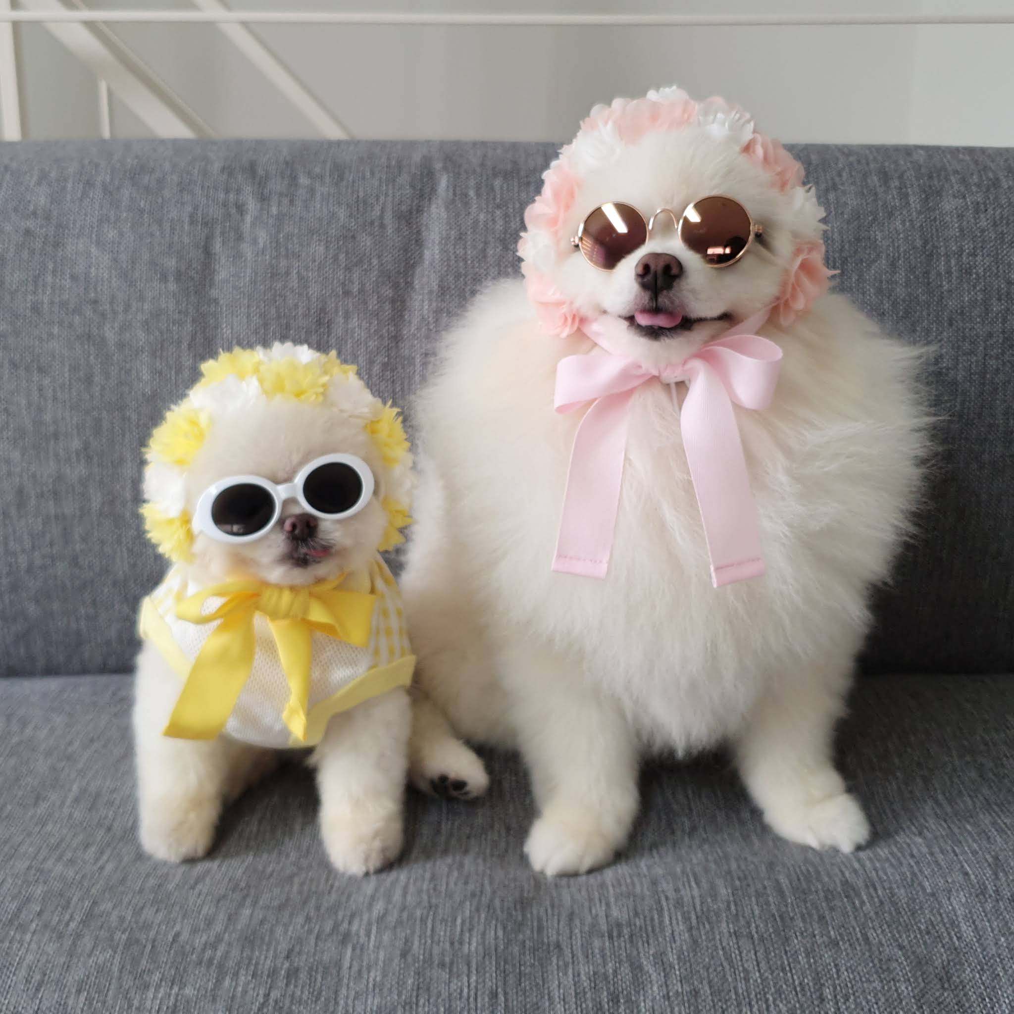 Post from [THE SOY] RuPong house