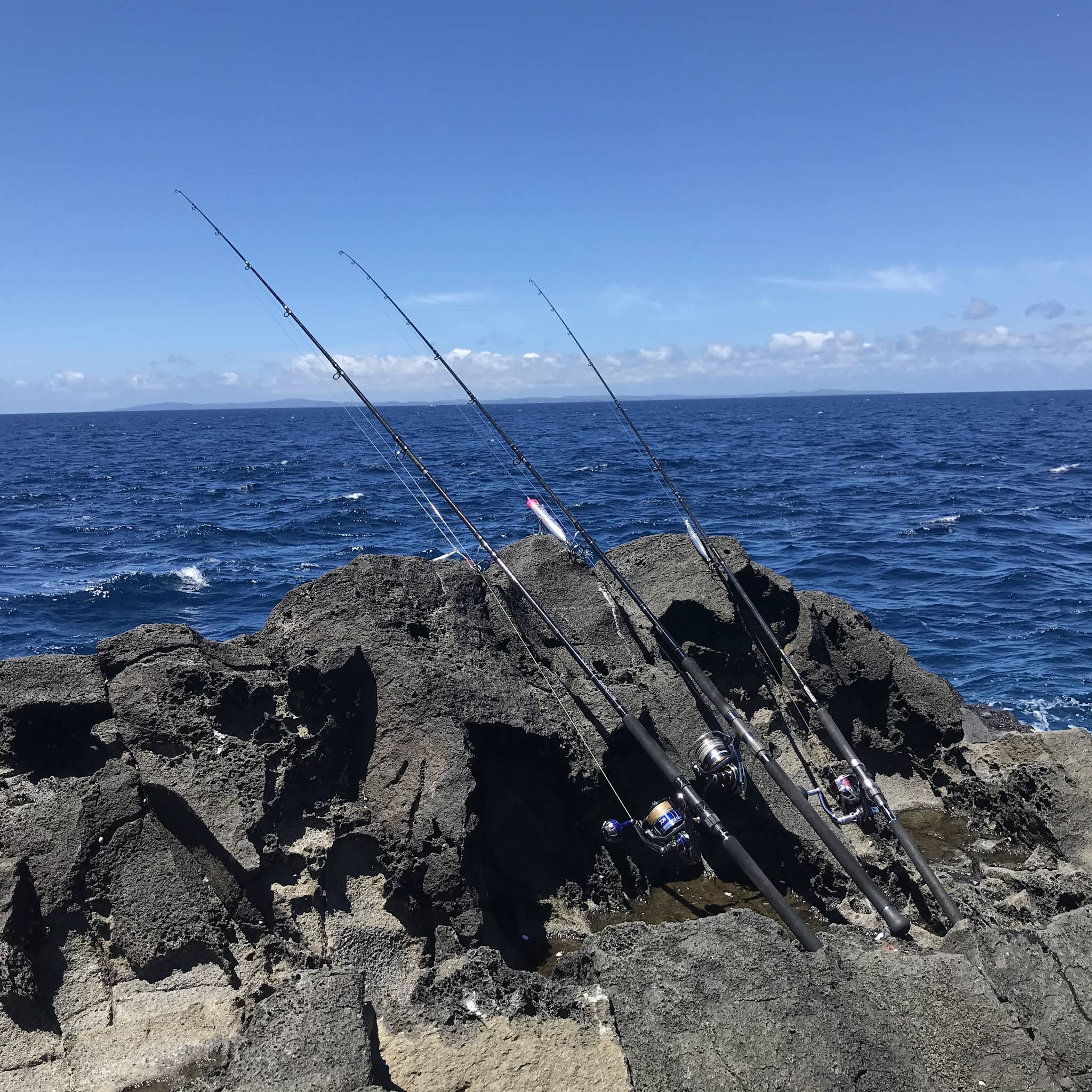 Post from 優魚YU-FISH