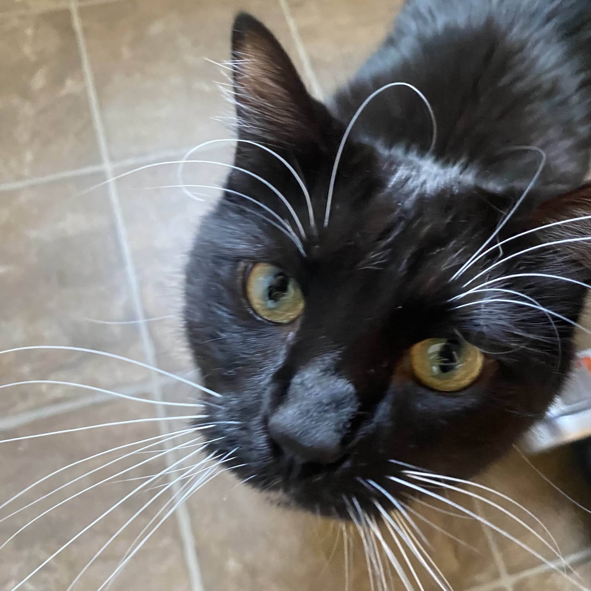 Post from sarriebearrie