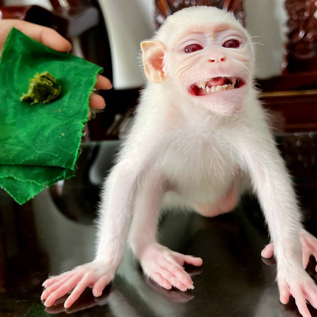 Post from Lovely Ruby