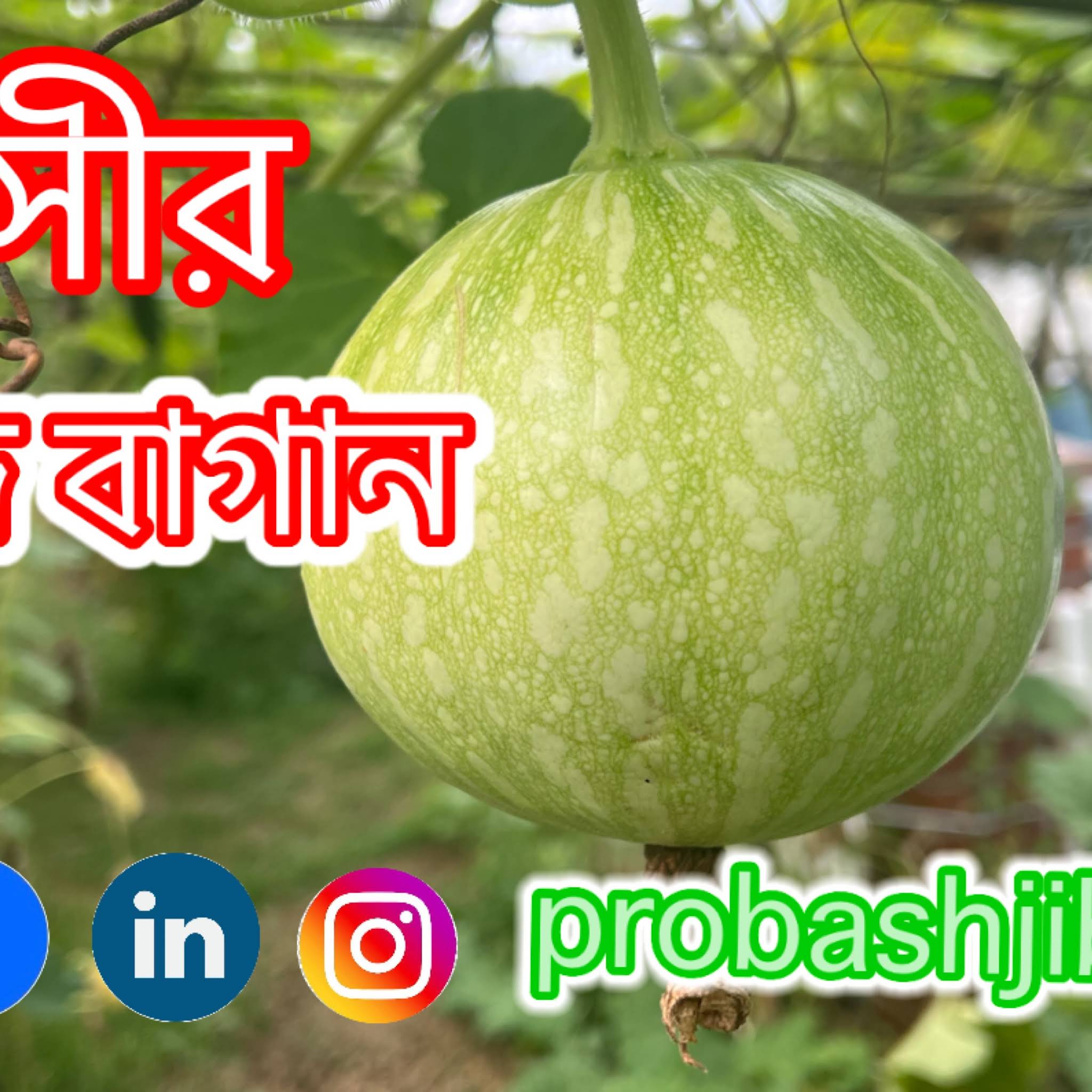 Post from Probash Jibon Tv